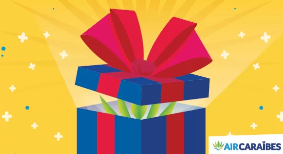Offrez l’évasion avec le meilleur des cadeaux ! | Aircaraibes.com