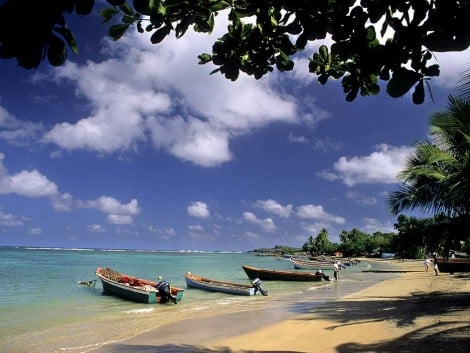Tour des yoles rondes de Martinique : guide complet 2026